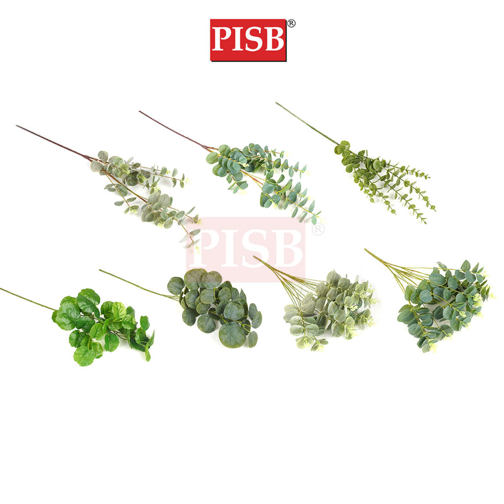 1005/06/07/09/10 Eucalyptus Spray Bush – pisb.com.my