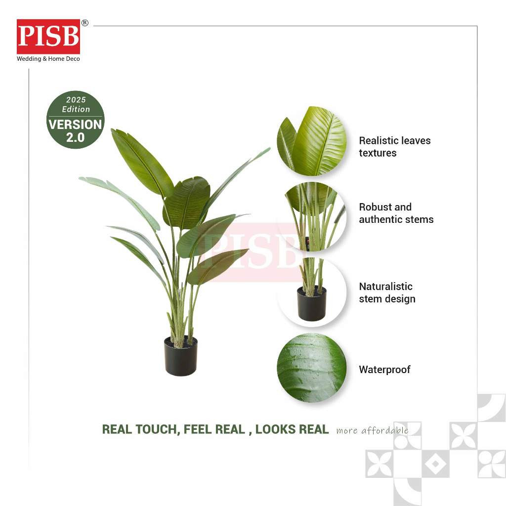 2121-27 3D Premium Skybird Tree Banana Tree Pokok Hiasan Viral Pokok ...